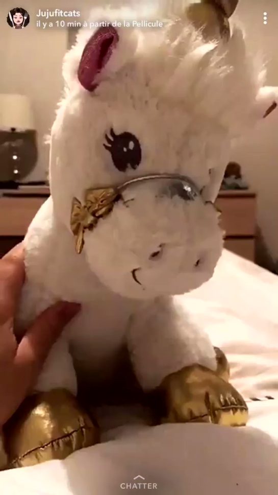 TiboInshape, un célèbre YouTuber français, dérape en dévoilant son ...